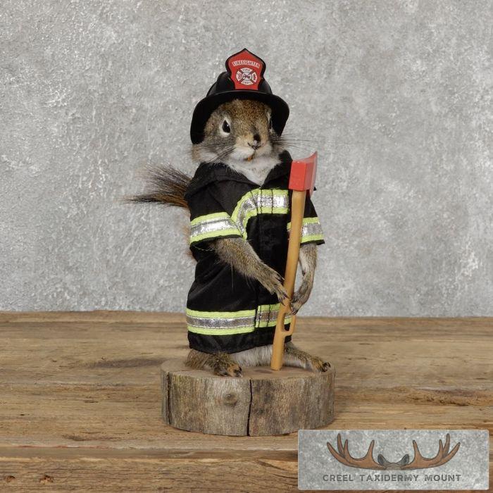 Firefighter Squirrel Novelty Taxidermy Mount For Sale - Creel Taxidermy