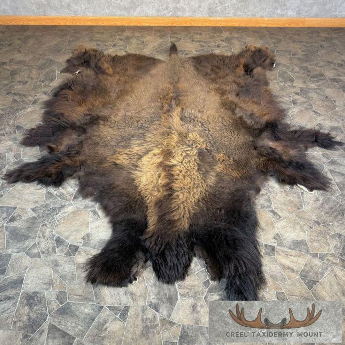 American Buffalo (Bison) Taxidermy Hide For Sale - Creel Taxidermy