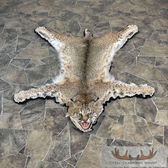 Bobcat Taxidermy Rug Mount For Sale - Creel Taxidermy