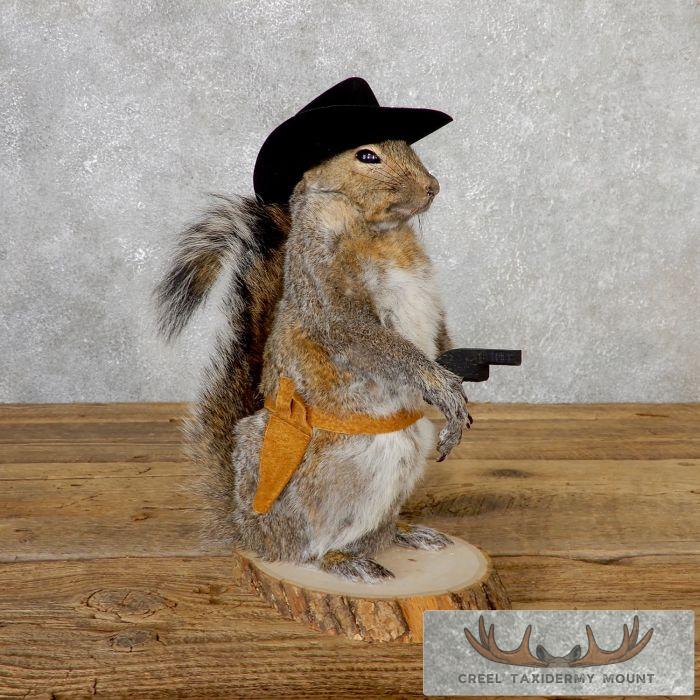 Cowboy Squirrel Novelty Taxidermy Mount For Sale - Creel Taxidermy