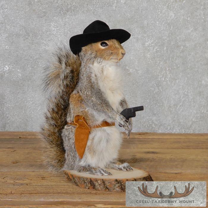 Cowboy Squirrel Novelty Taxidermy Mount For Sale - Creel Taxidermy