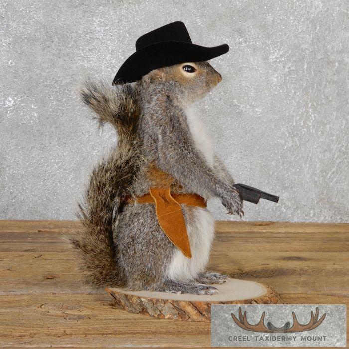 Cowboy Squirrel Novelty Taxidermy Mount For Sale - Creel Taxidermy