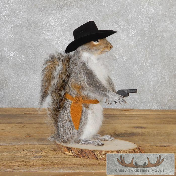 Cowboy Squirrel Novelty Taxidermy Mount For Sale - Creel Taxidermy