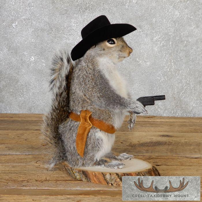 Cowboy Squirrel Novelty Taxidermy Mount For Sale - Creel Taxidermy