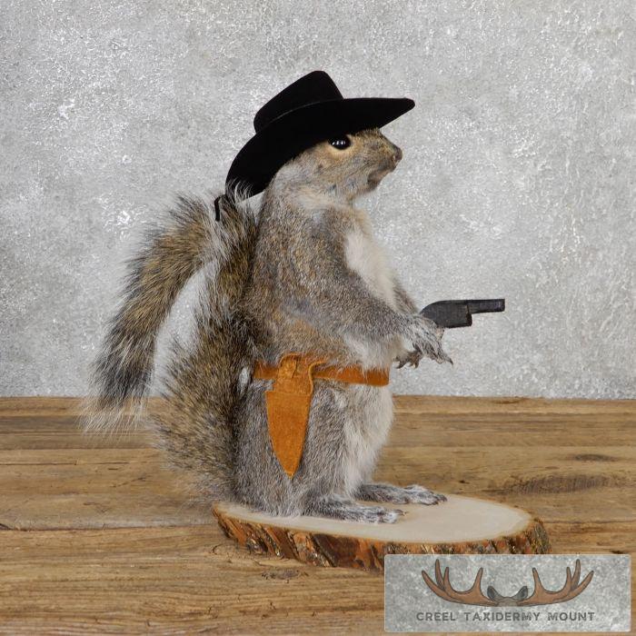 Cowboy Squirrel Novelty Taxidermy Mount For Sale - Creel Taxidermy