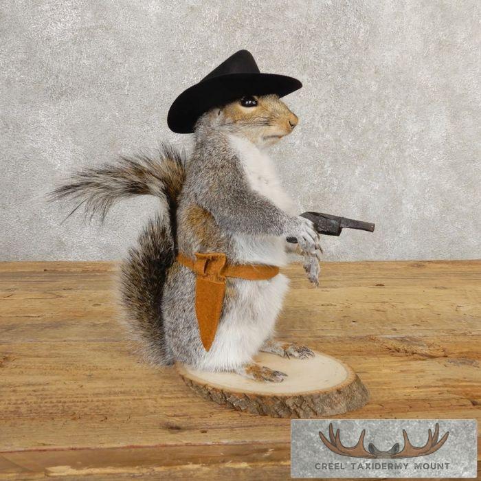 Cowboy Squirrel Novelty Taxidermy Mount For Sale - Creel Taxidermy