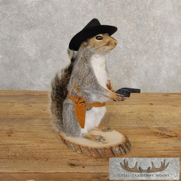 Cowboy Squirrel Novelty Taxidermy Mount For Sale - Creel Taxidermy