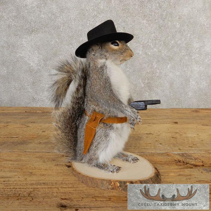Cowboy Squirrel Novelty Taxidermy Mount For Sale - Creel Taxidermy