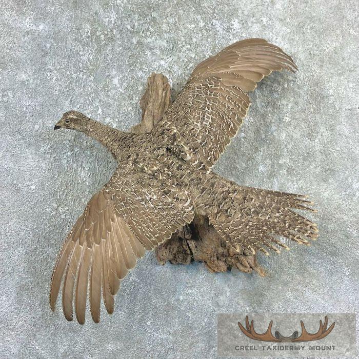 grouse flying mount