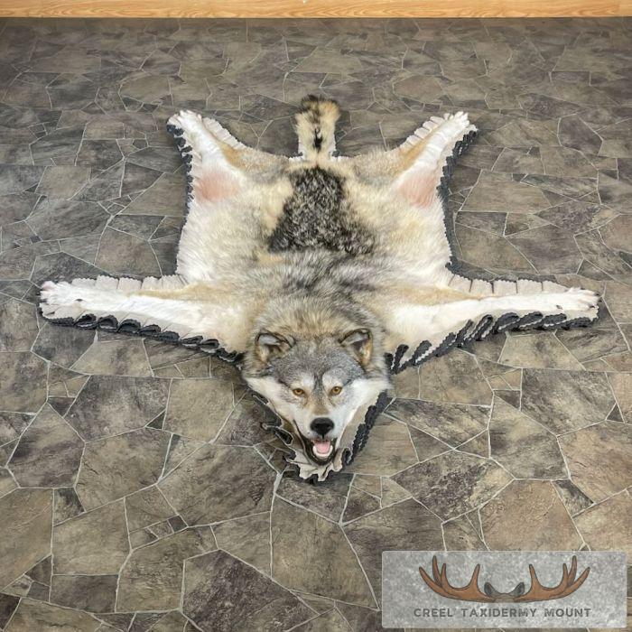 Grey Wolf Full Rug Taxidermy Mount For Sale - Creel Taxidermy