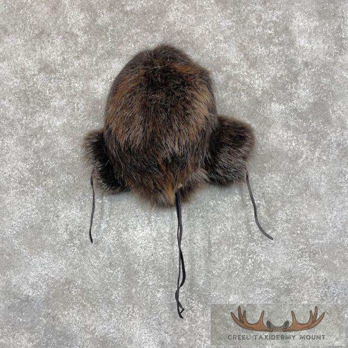 North American Beaver Pelt Hat For Sale - Creel Taxidermy