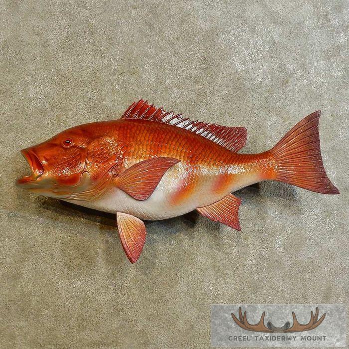 Red Snapper Replica Taxidermy Fish Mount For Sale - Creel Taxidermy