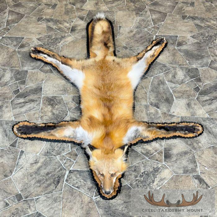 Red Fox Full Rug Taxidermy Mount For Sale - Creel Taxidermy