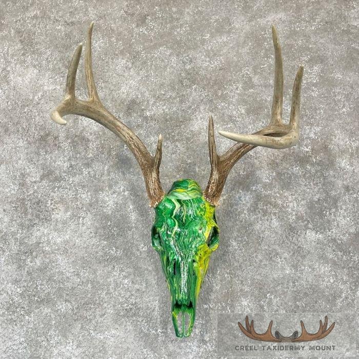 Whitetail Deer Skull Dipped Taxidermy Mount For Sale - Creel Taxidermy