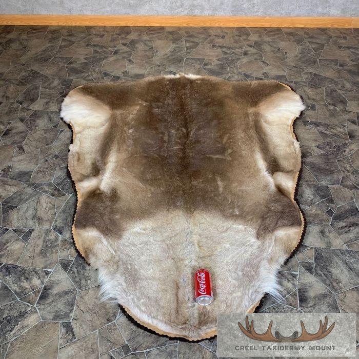 Caribou Taxidermy Rug For Sale - Creel Taxidermy