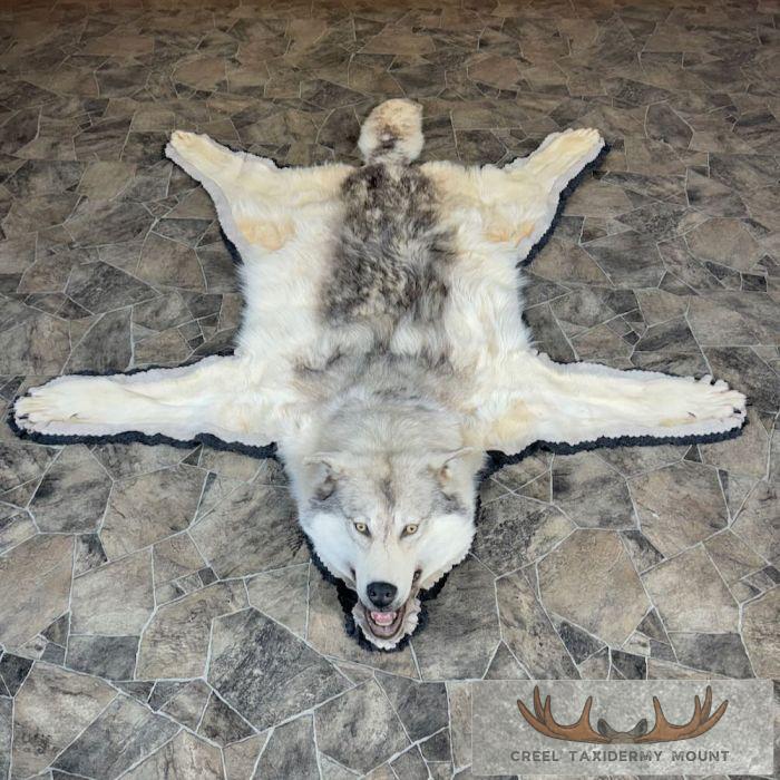 Alaskan Gray Wolf Full Rug Taxidermy Mount For Sale - Creel Taxidermy