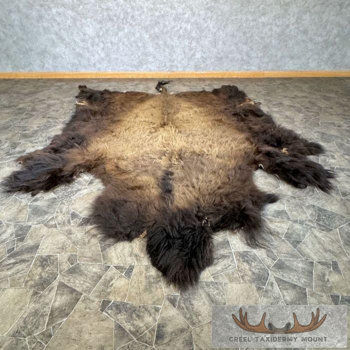 Buffalo Hide (Bison) Taxidermy Rug For Sale - Creel Taxidermy