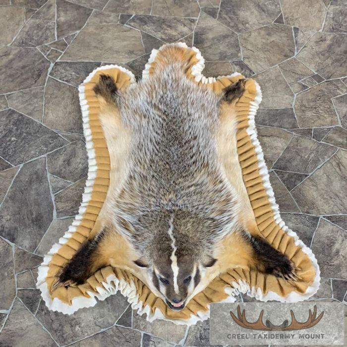 Badger Full-Size Rug Taxidermy Mount For Sale - Creel Taxidermy