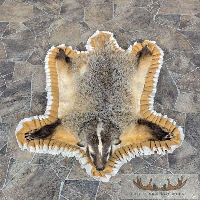 Badger Full-Size Rug Taxidermy Mount For Sale - Creel Taxidermy