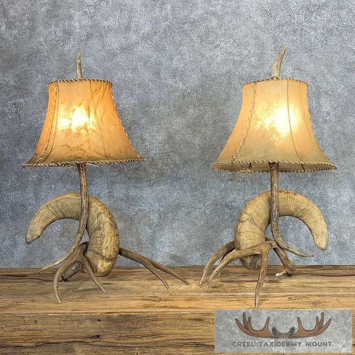 Bighorn Sheep Horn Lamp Set For Sale - Creel Taxidermy