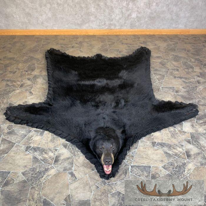 Black Bear Full-Size Taxidermy Rug For Sale - Creel Taxidermy