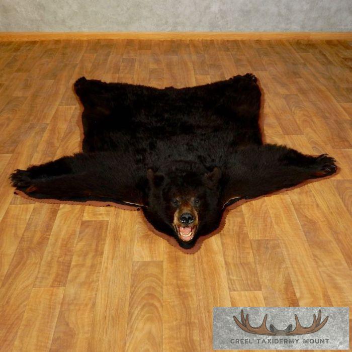 Black Bear Full-Size Taxidermy Rug For Sale - Creel Taxidermy