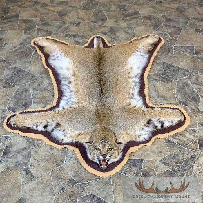 Bobcat Taxidermy Rug For Sale - Creel Taxidermy
