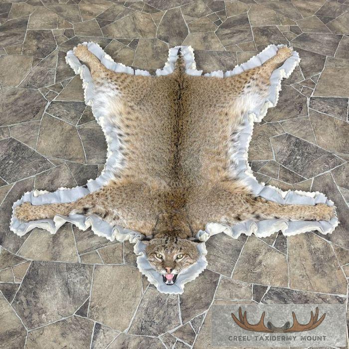 Bobcat Taxidermy Rug For Sale - Creel Taxidermy