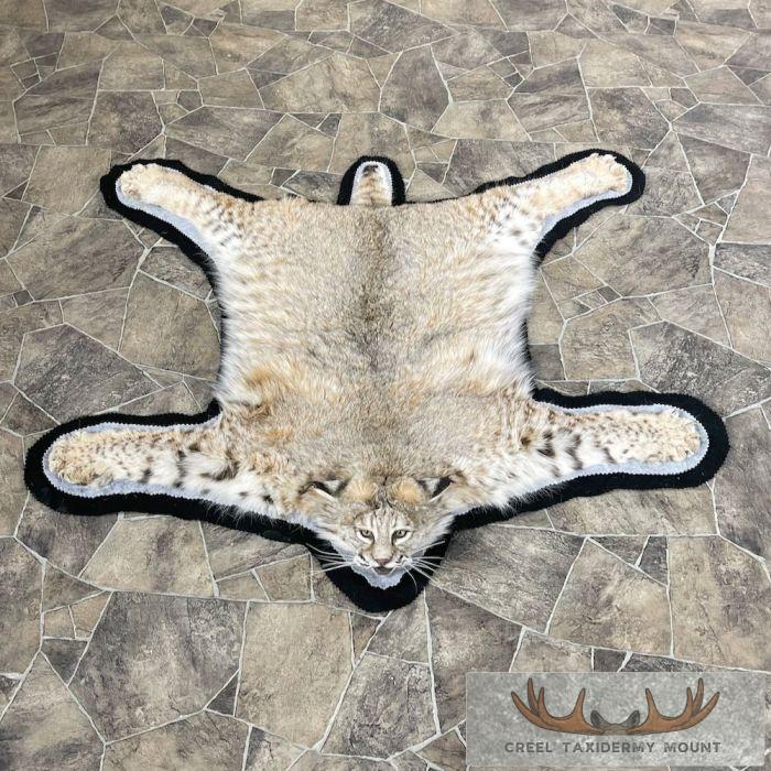 Bobcat Taxidermy Rug For Sale - Creel Taxidermy