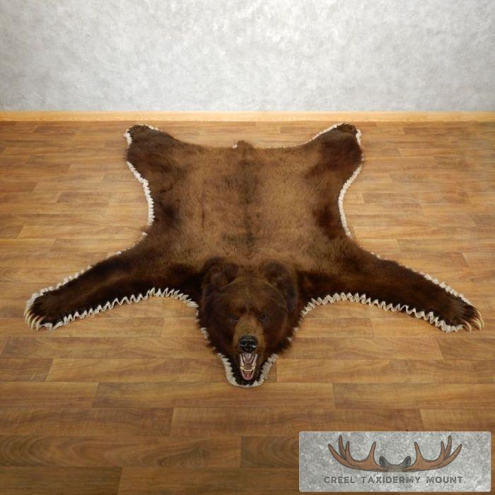 Brown Bear Full-Size Taxidermy Rug For Sale - Creel Taxidermy