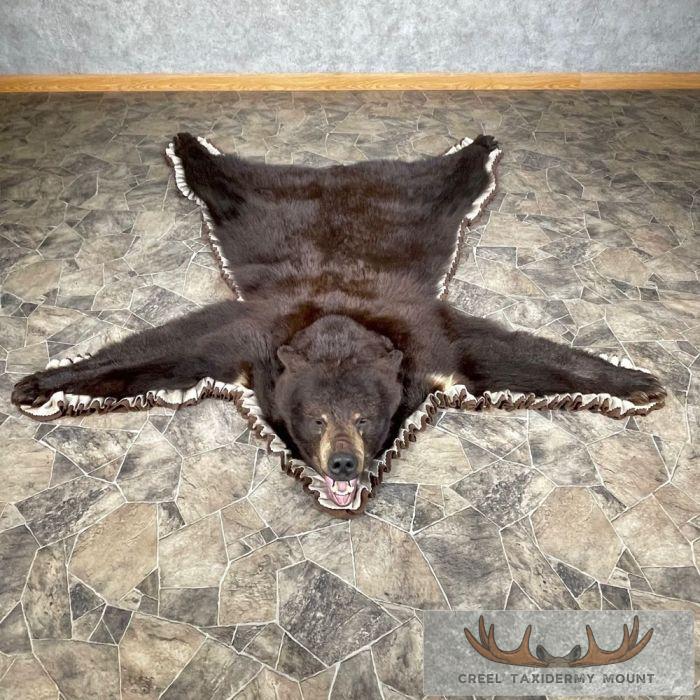 mounted bear rug