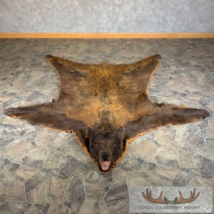 bear rug