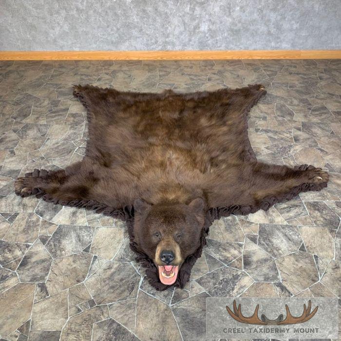 Cinnamon Phase Black Bear Full-Size Taxidermy Rug For Sale - Creel ...