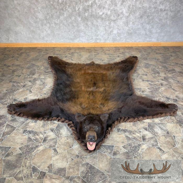 Color Phase Black Bear Full-Size Taxidermy Rug For Sale - Creel Taxidermy