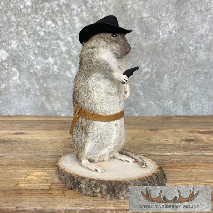 Cowboy Rat Novelty Taxidermy Mount For Sale - Creel Taxidermy
