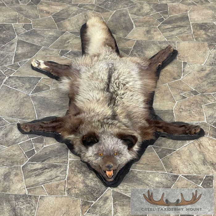 Cross Fox Full Rug Taxidermy Mount For Sale - Creel Taxidermy