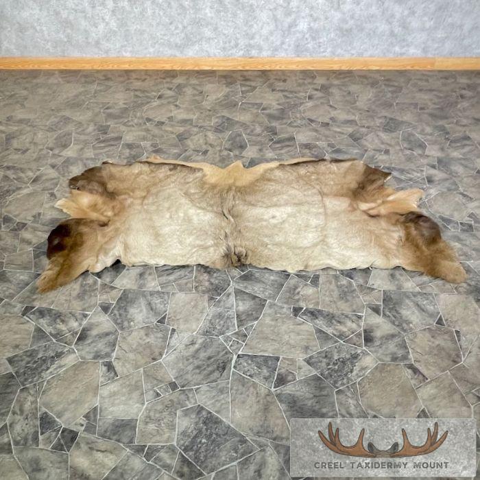 Elk Half Hide Taxidermy Hide For Sale - Creel Taxidermy