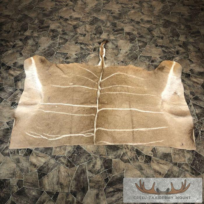 African Kudu Tanned Skin Taxidermy Rug For Sale - Creel Taxidermy