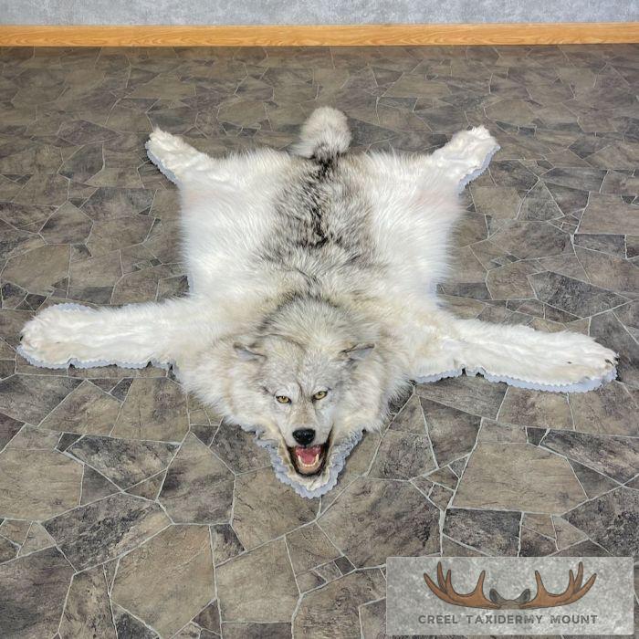 Grey Wolf Full Rug Taxidermy Mount For Sale - Creel Taxidermy