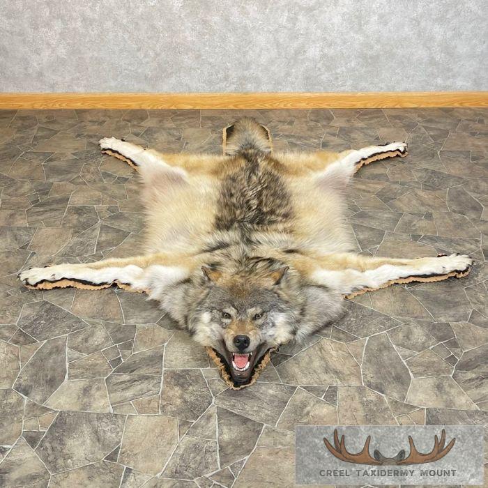 Grey Wolf Full Rug Taxidermy Mount For Sale - Creel Taxidermy