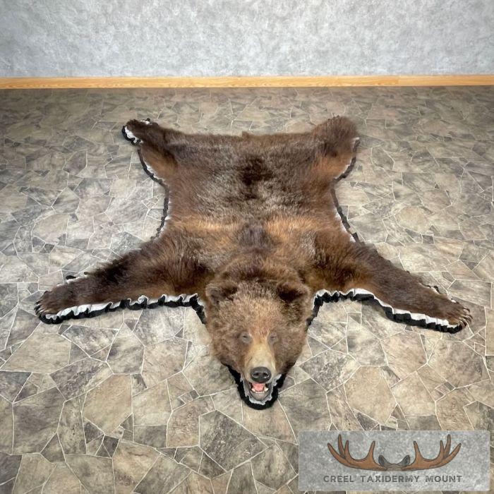 Grizzly Bear Full Size Taxidermy Rug Mount For Sale - Creel Taxidermy