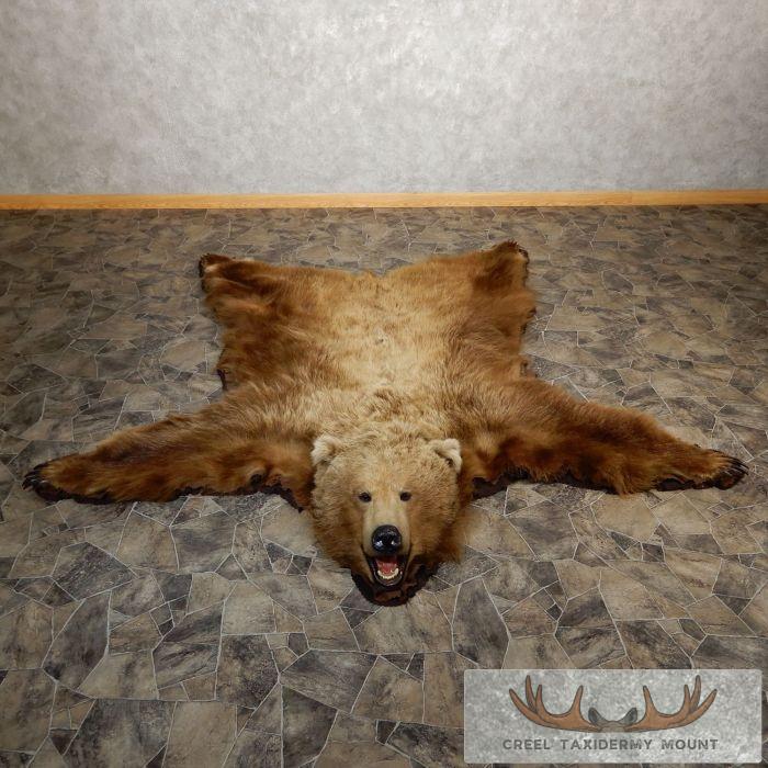 Grizzly Bear Full Size Taxidermy Rug Mount For Sale - Creel Taxidermy