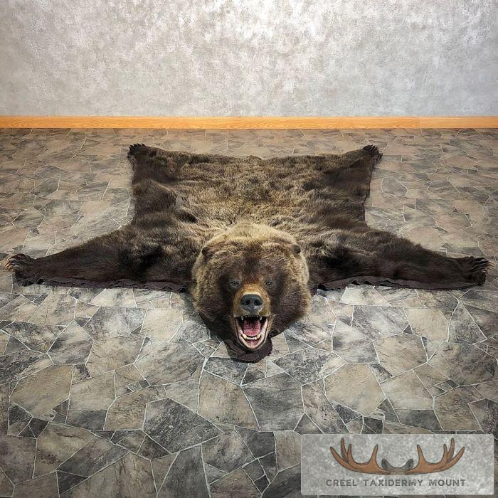 Grizzly Bear Full Size Taxidermy Rug Mount For Sale - Creel Taxidermy