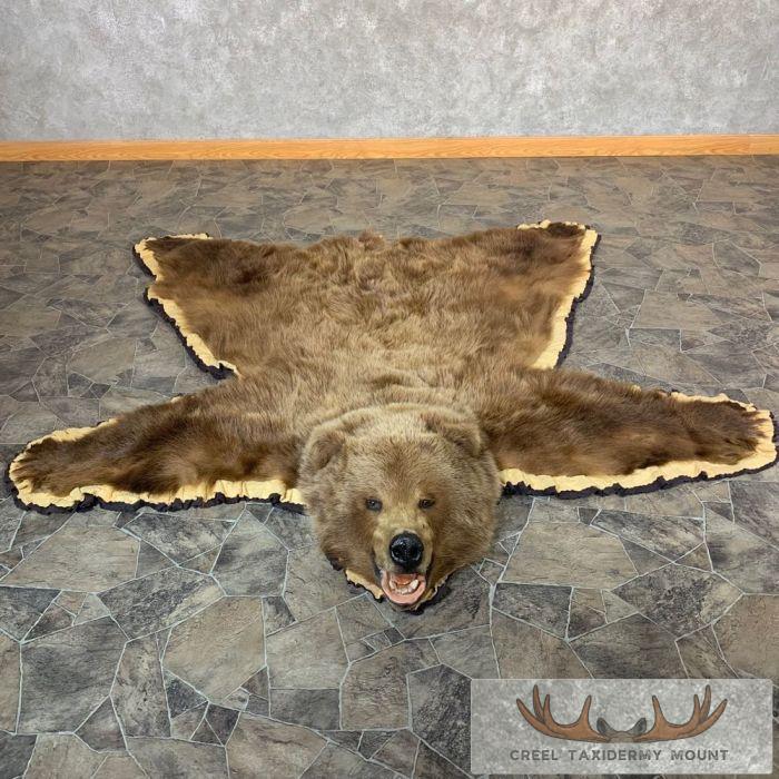 Grizzly Bear Full Size Taxidermy Rug Mount For Sale - Creel Taxidermy