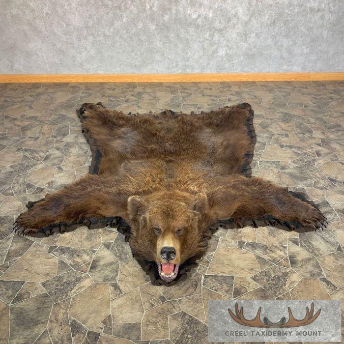 Brown Bear Full-Size Taxidermy Rug Mount For Sale - Creel Taxidermy