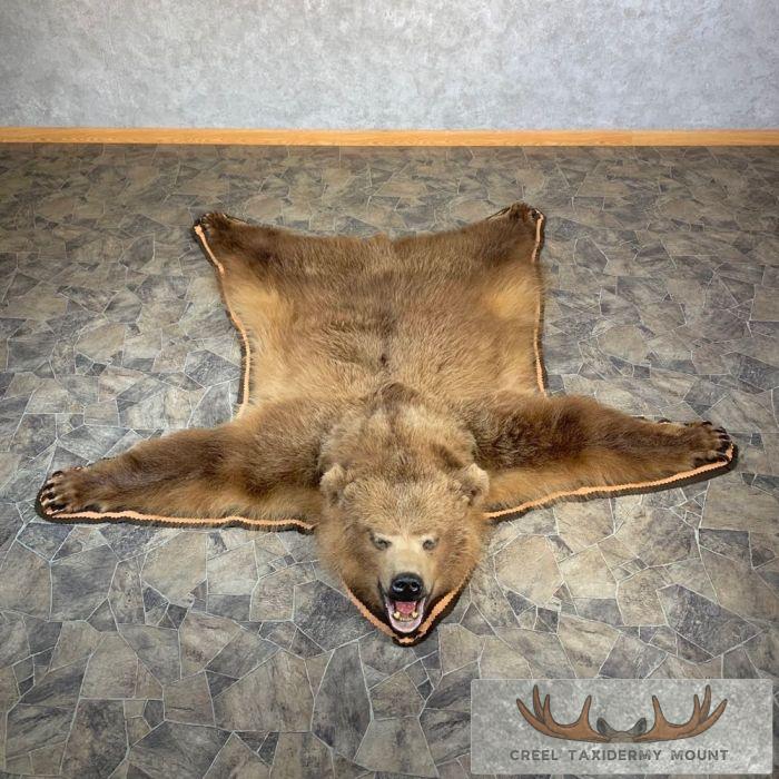 Grizzly Bear Full Size Taxidermy Rug Mount For Sale - Creel Taxidermy