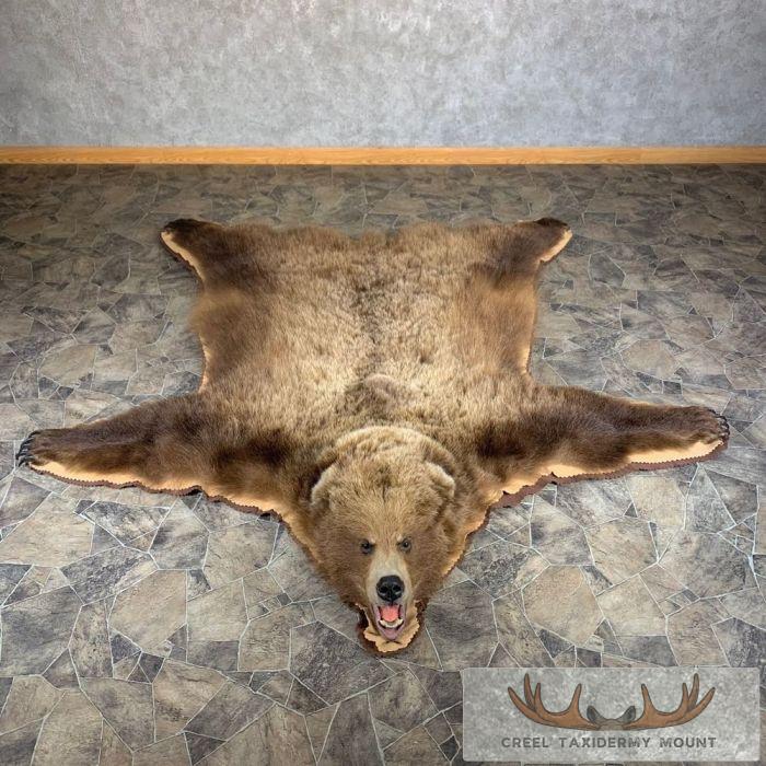 Grizzly Bear Full Size Taxidermy Rug Mount For Sale - Creel Taxidermy