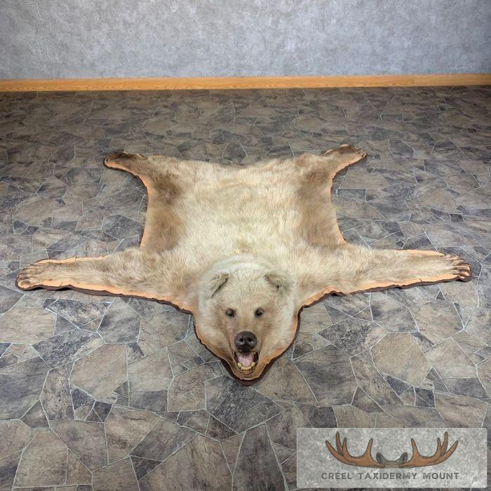 Alaskan Grizzly Bear Full Size Taxidermy Rug Mount For Sale - Creel ...