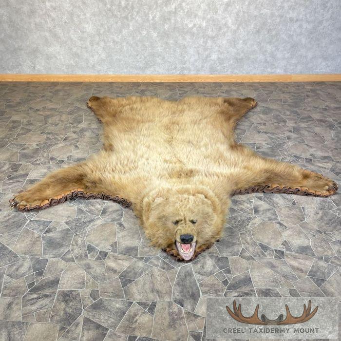 Grizzly Bear Full Size Taxidermy Rug Mount For Sale - Creel Taxidermy