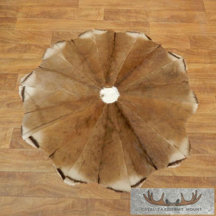 Impala Patch Rug Taxidermy Mount For Sale - Creel Taxidermy